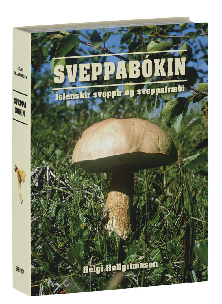 Sveppabókin - Íslenskir sveppir og sveppafræði - Náttúrufræðingurinn