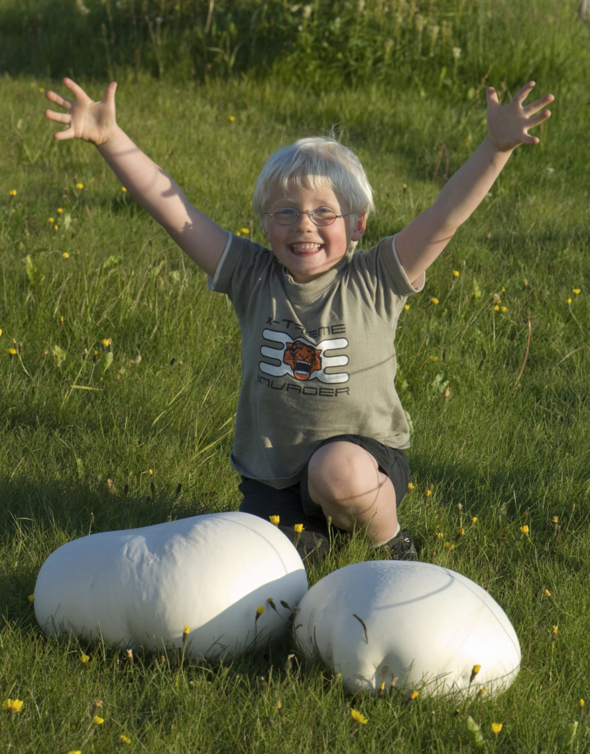 Sveppabókin - Íslenskir sveppir og sveppafræði - Náttúrufræðingurinn