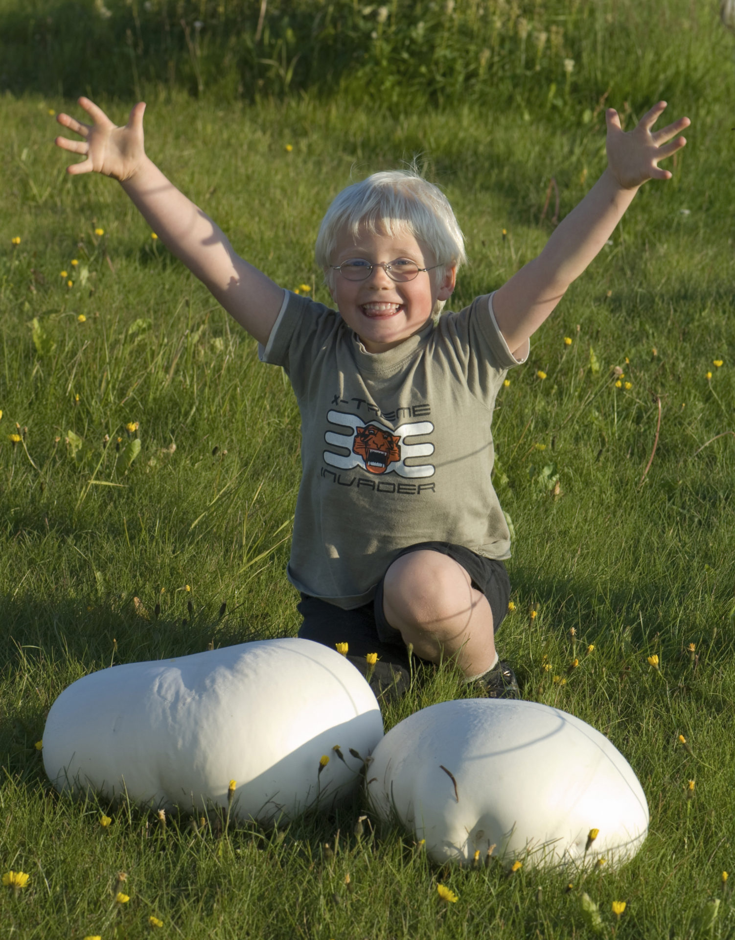 Sveppabókin - Íslenskir sveppir og sveppafræði - Náttúrufræðingurinn